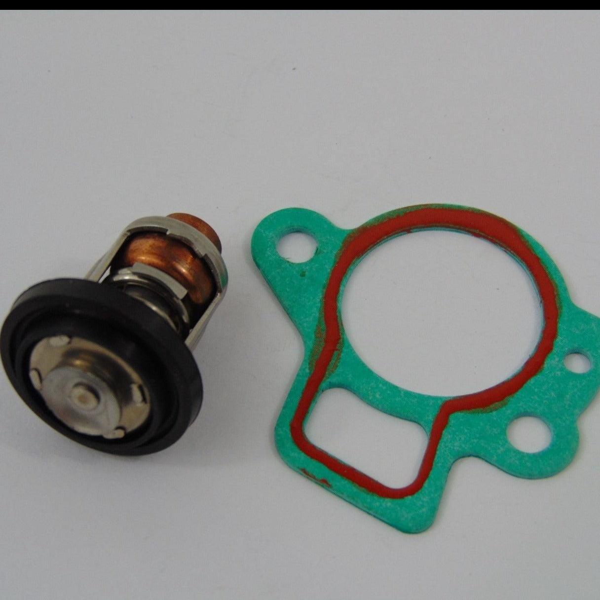 KIT THERMOSTAT & GASKET FT9.9 F9.9 F15 F25 F30 F40, 66M-12411-00 FOR Y ...